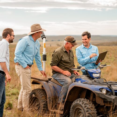 News - Sunny Corner Wind Farm