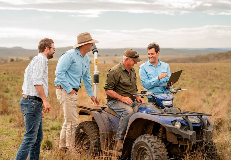 Home - Sunny Corner Wind Farm