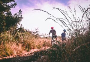 Home - Sunny Corner Wind Farm