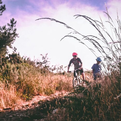 News - Sunny Corner Wind Farm