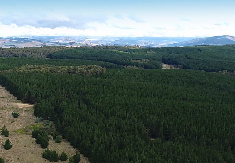 Home - Sunny Corner Wind Farm