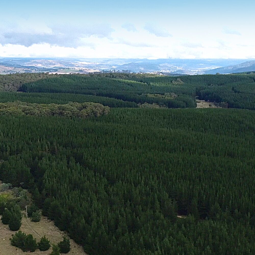 News - Sunny Corner Wind Farm