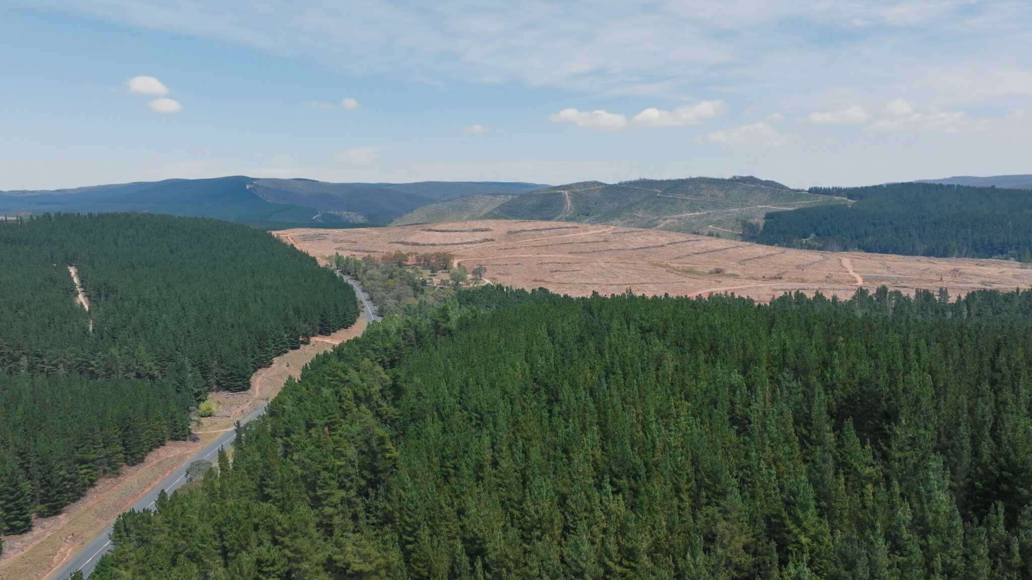 Home - Sunny Corner Wind Farm