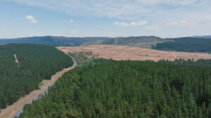 Home - Sunny Corner Wind Farm