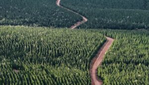 Home - Sunny Corner Wind Farm