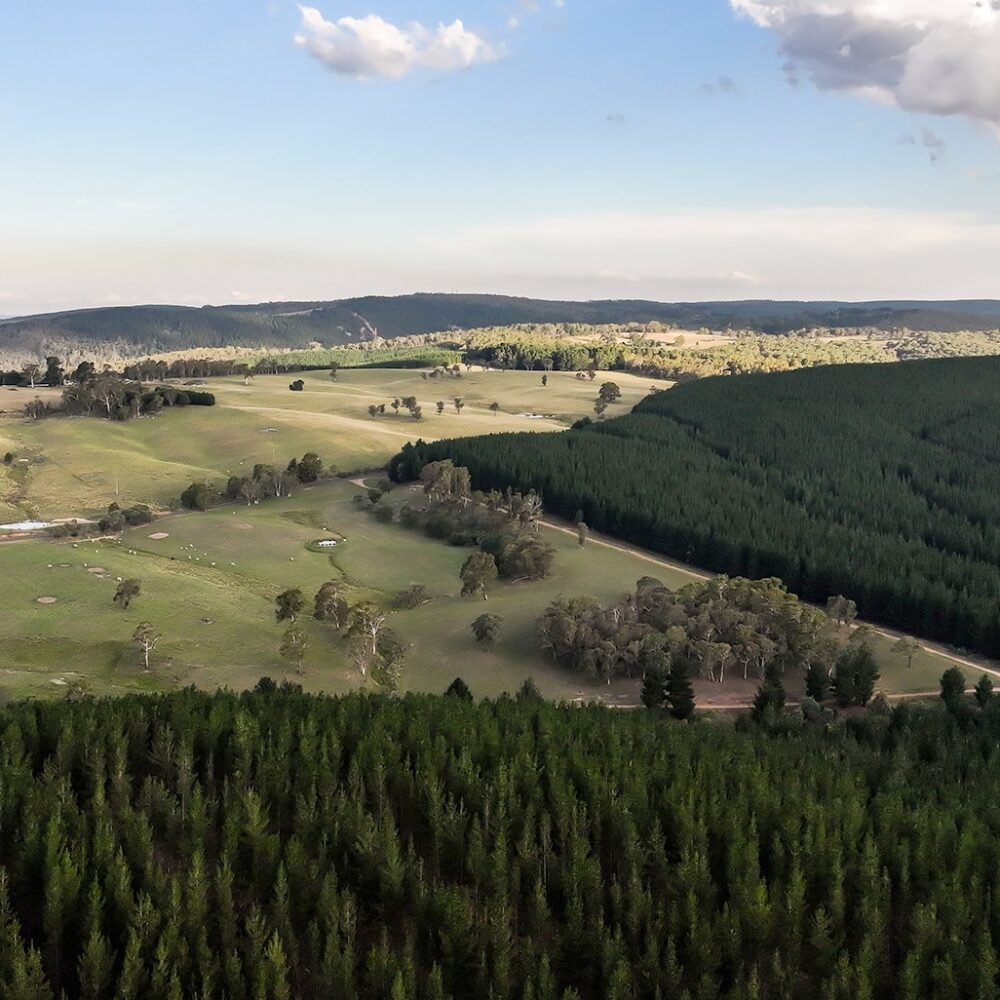 Sunny Corner - Sunny Corner Wind Farm