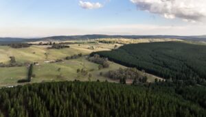 Home - Sunny Corner Wind Farm